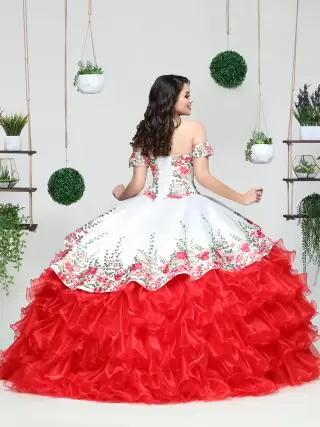 Embroidered Elegance Quinceañera Gown | Quinceañera Dresses